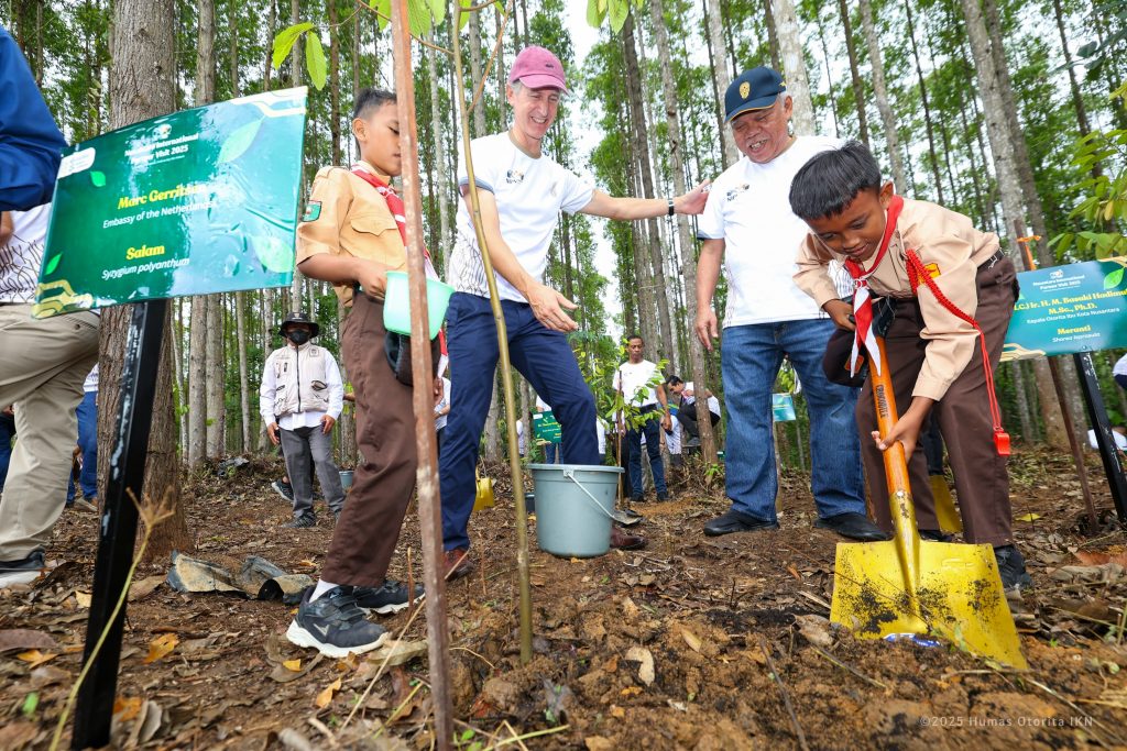 Dukung IKN Forest City, Otorita IKN Tanam Pohon di Bekas Hutan Industri - RADAR MEDIA
