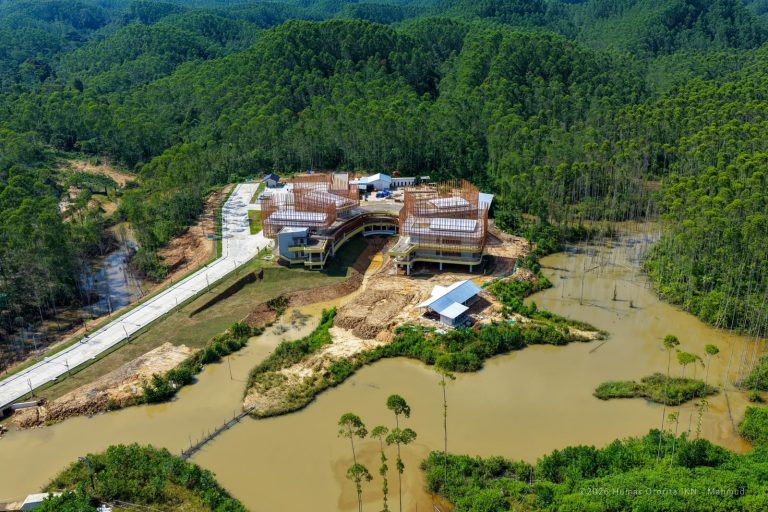 Ekosistem Hutan Terbentuk, Lutung Merah hingga Rusa Sambar Mulai Kuasai ...